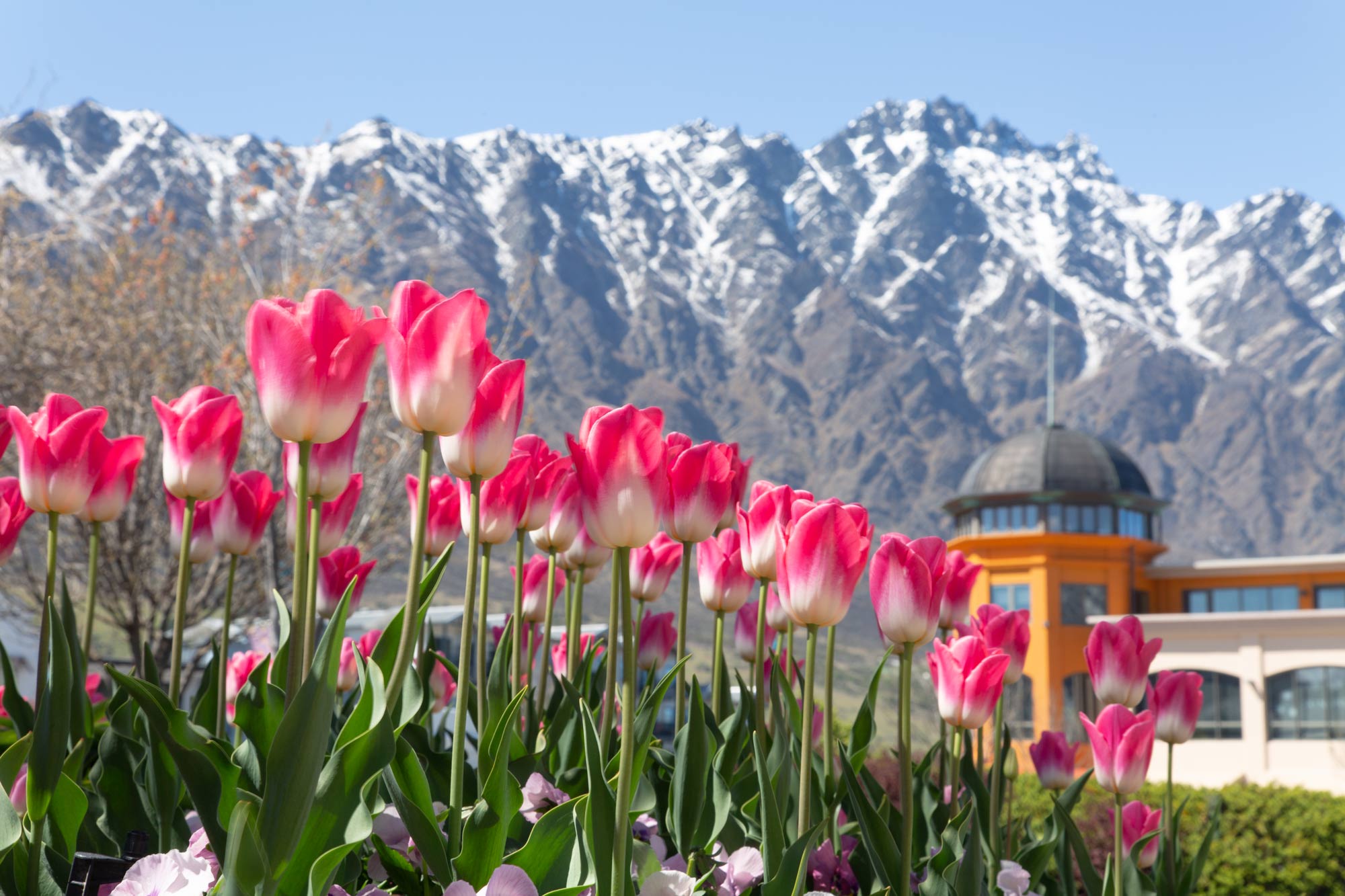 About Us – Remarkables Park Town Centre